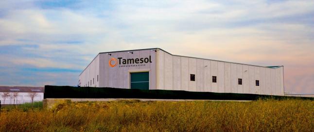 Tamesol inicia la comercialización de paneles solares de células PERC ...